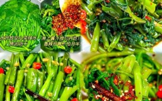 野空心菜的功效与作用_野空心菜怎么吃最营养