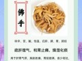 佛手功效与作用_佛手主治哪些疾病