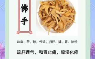 佛手功效与作用_佛手主治哪些疾病