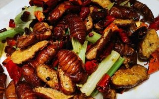 炒蚕蛹怎么做好吃_蚕蛹图片高清