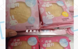 雪月饼是什么_雪月饼好吃吗