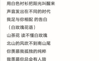 白玫瑰歌词含义_白玫瑰表达了什么情感