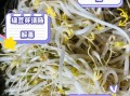 绿豆芽几天发芽_绿豆芽生长温度多少合适