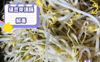 绿豆芽几天发芽_绿豆芽生长温度多少合适