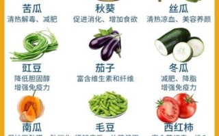 夏天适合吃什么蔬菜_夏季时令蔬菜有哪些
