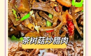 茶树菇烧肉怎么烧好吃_茶树菇烧肉的家常做法