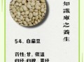 白扁豆粥禁忌人群_哪些人不能吃白扁豆粥