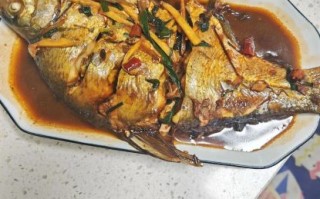 红烧鱼怎么做才好吃_红烧鱼的家常做法