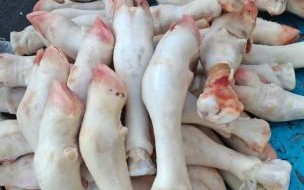 牛蹄子多少钱一斤_牛蹄子批发价格行情