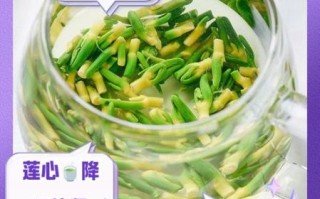 莲子心泡水喝的功效与禁忌_莲子心茶能长期喝吗