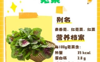 苋菜的营养价值及功效_苋菜怎么吃最健康