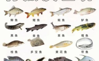 淡水鱼种类大全_常见淡水鱼有哪些