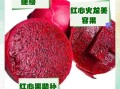 红肉火龙果的功效与作用_红肉火龙果能减肥吗