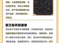 黑芝麻的功效与作用_黑芝麻吃多了有什么害处