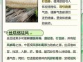 丝瓜络的功效与作用_丝瓜络能治哪些病
