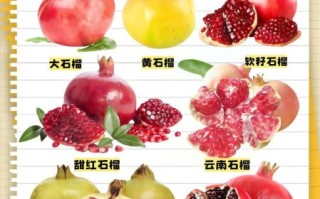 吃石榴能减肥吗_石榴减肥的正确吃法