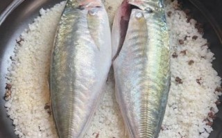 盐焗鱼怎么做_盐焗鱼用哪种鱼最好