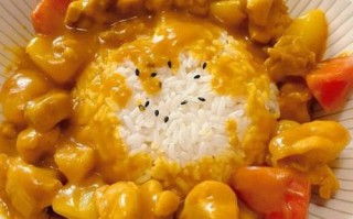 日式咖喱鸡肉饭怎么做_咖喱块什么时候放