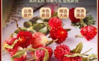 红巧梅花茶的功效与作用_红巧梅花茶怎么泡
