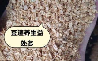 豆渣的营养价值有哪些_豆渣怎么吃最健康