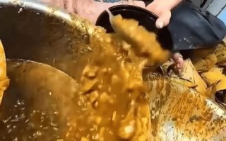 印度咖喱里面有牛粪吗_印度咖喱安全吗