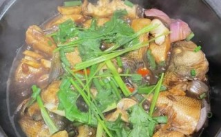 家炖鲈鱼怎么做_鲈鱼炖多久才入味