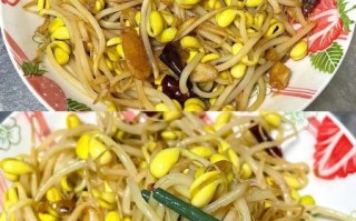 素炒黄豆芽怎么做好吃_黄豆芽去豆腥味的窍门