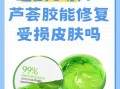 芦荟胶可以天天用吗_芦荟胶的功效与作用