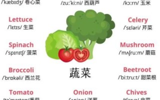 蔬菜英语单词有哪些_常见蔬菜英文名称大全