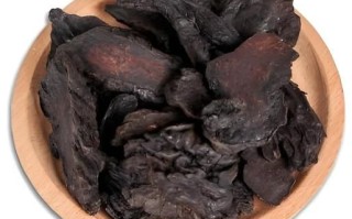 野生肉苁蓉长什么样_如何辨别真假野生肉苁蓉