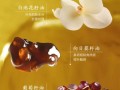 橄榄精油的功效与用法_孕妇能用吗
