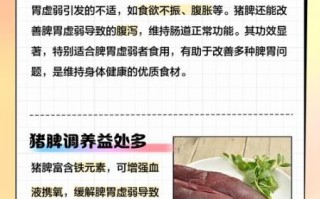 猪脾脏的功效与作用_猪脾脏怎么吃最补气血