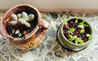 干炸小鲫鱼怎么做_小鲫鱼炸多久才酥脆