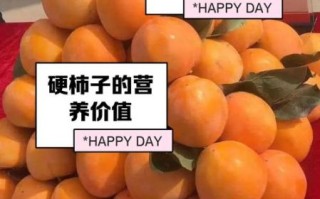 硬柿子有什么功效与作用_硬柿子能降血压吗