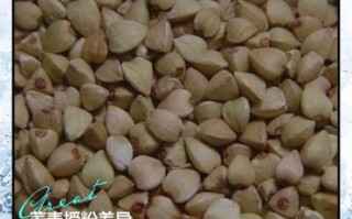 苦荞和荞麦的功效区别_哪个更适合三高人群