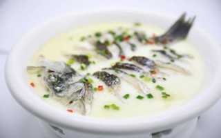 芙蓉鲫鱼是什么品种_芙蓉鲫鱼产地在哪里