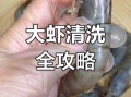 虾子怎么处理干净_虾线怎么挑最方便