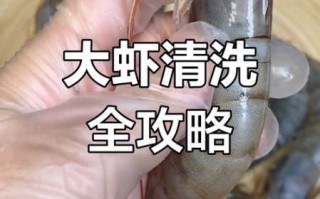 虾子怎么处理干净_虾线怎么挑最方便