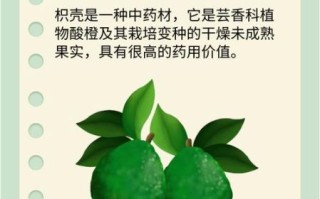 枳壳怎么读_枳壳的功效与作用