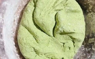 清明果艾草图片_如何挑选新鲜艾草