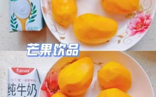 芒果奶昔怎么做_芒果奶昔怎么做好喝