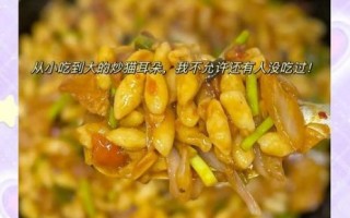 猫耳朵怎么做好吃_猫耳朵的家常做法