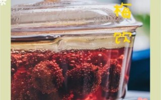 杨梅汤怎么做_杨梅汤做法步骤详解