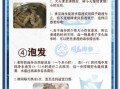 新鲜海参怎么处理_海参泡发多久才最好吃