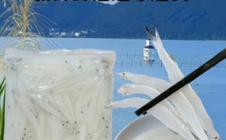 鲜银鱼焯水有什么好处_鲜银鱼不焯水可以吗