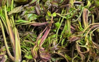 高血压能吃香椿芽吗_香椿芽升血压真相