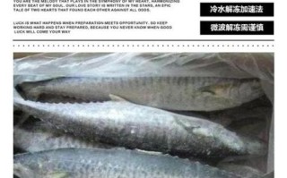 冰冻海鱼怎么做好吃_解冻技巧与家常做法
