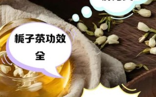 栀子泡水喝的功效与作用_栀子茶怎么喝才不上火