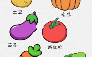 蔬菜大全简笔画_怎么画好看
