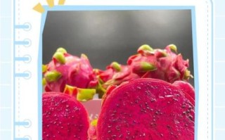 怀孕可以吃火龙果吗早期_孕妇吃火龙果对胎儿好吗